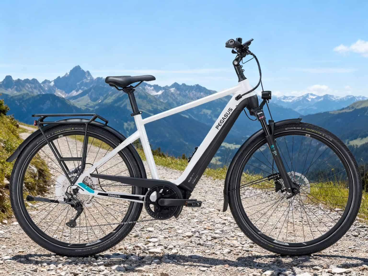 Bestes Trekking E Bike